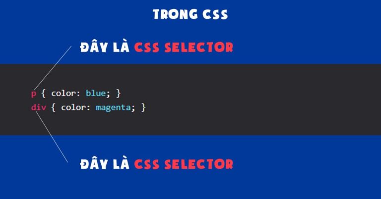 CSS Selector được hiểu như thế nào? 5+ loại CSS Selector bạn cần biết - Tin tức tên miền hosting