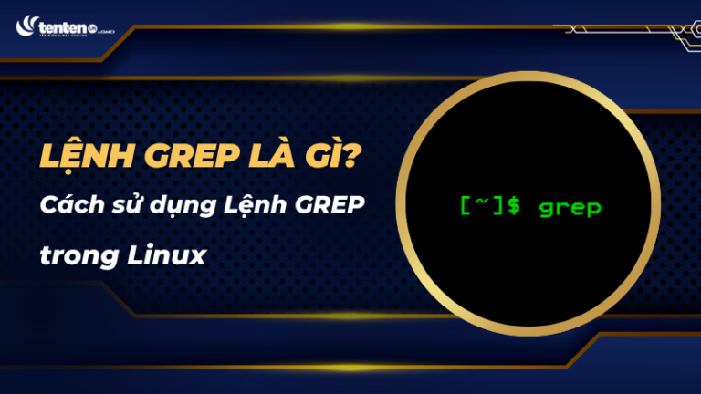 Lệnh GREP là gì? 11 Cách sử dụng lệnh GREP trong linux - Tin tức tên miền hosting