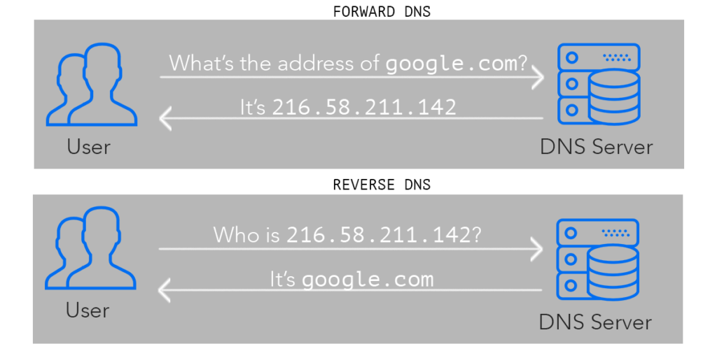 Reverse DNS là gì? Cách thức hoạt động của rDNS - Tin tức tên miền hosting