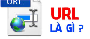 URL là gì? Cách lấy URL của một trang web - Tin tức tên miền hosting